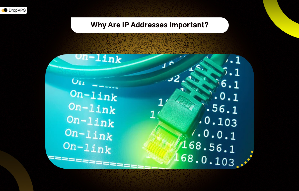 What is an IP address, and why does it matter?